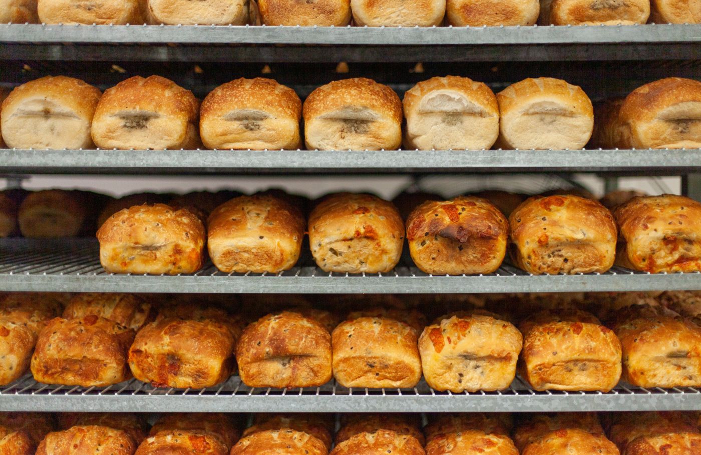 Small bakers can have a big impact on regen ag efforts - Craft to Crumb