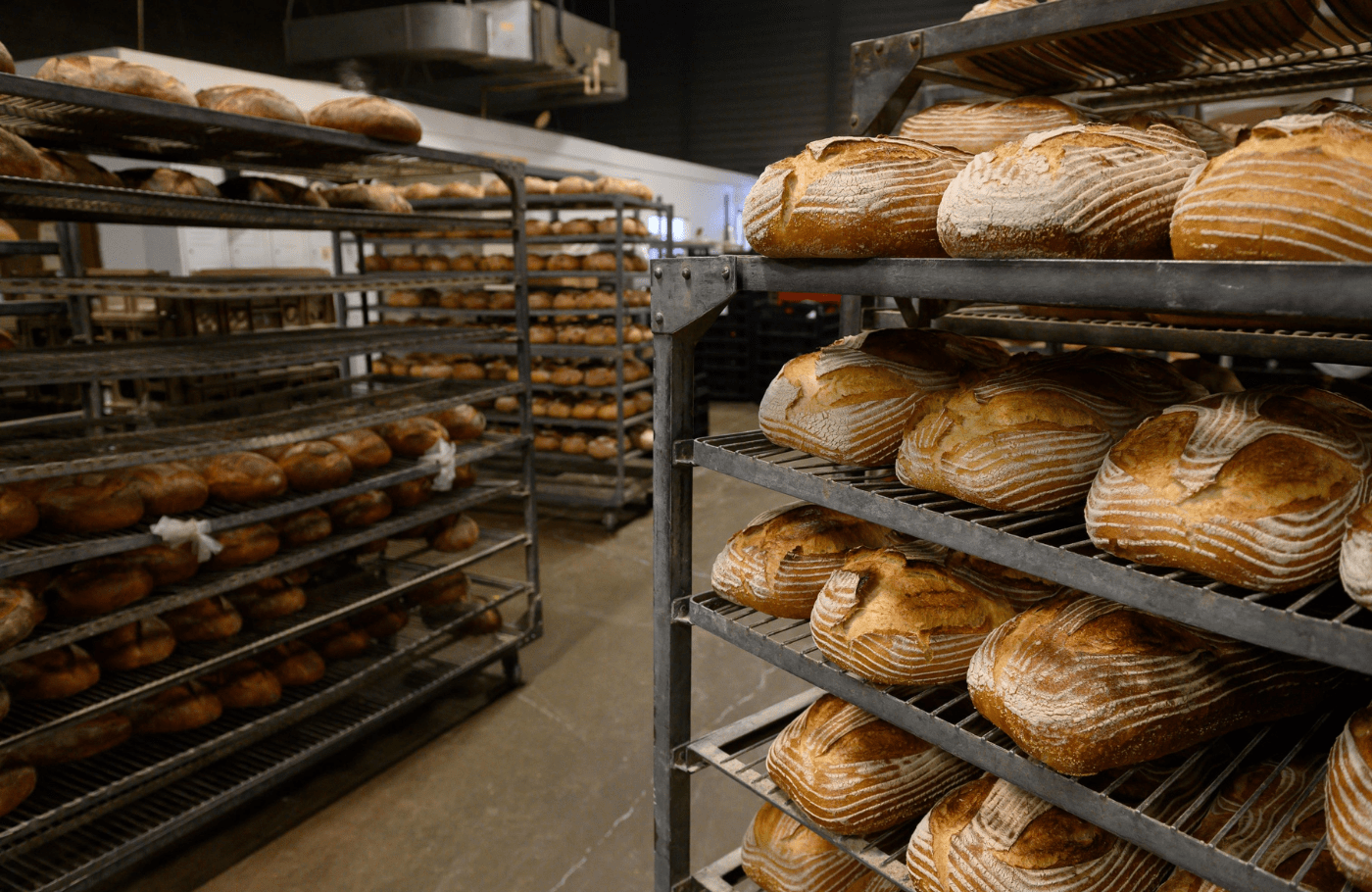 The origin story of Mediterra Bakehouse - Craft to Crumb
