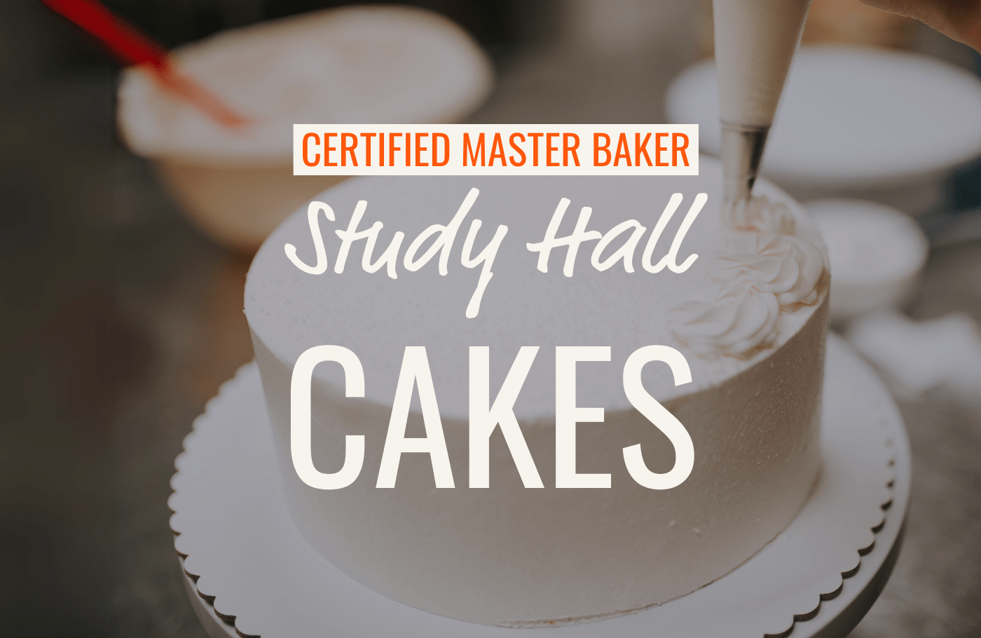 Now live: CMB Study Hall cakes installment - Craft to Crumb